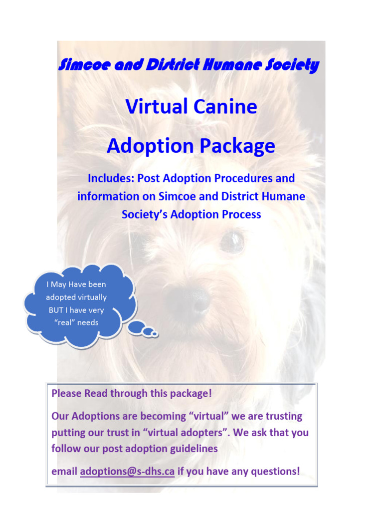 Virtual Canine Adoption Package | PDF