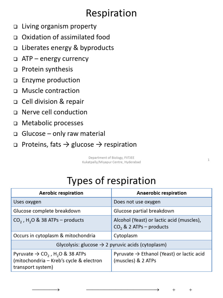Respiration | PDF