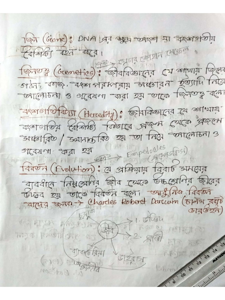 Bio-2nd - Hand Note | PDF