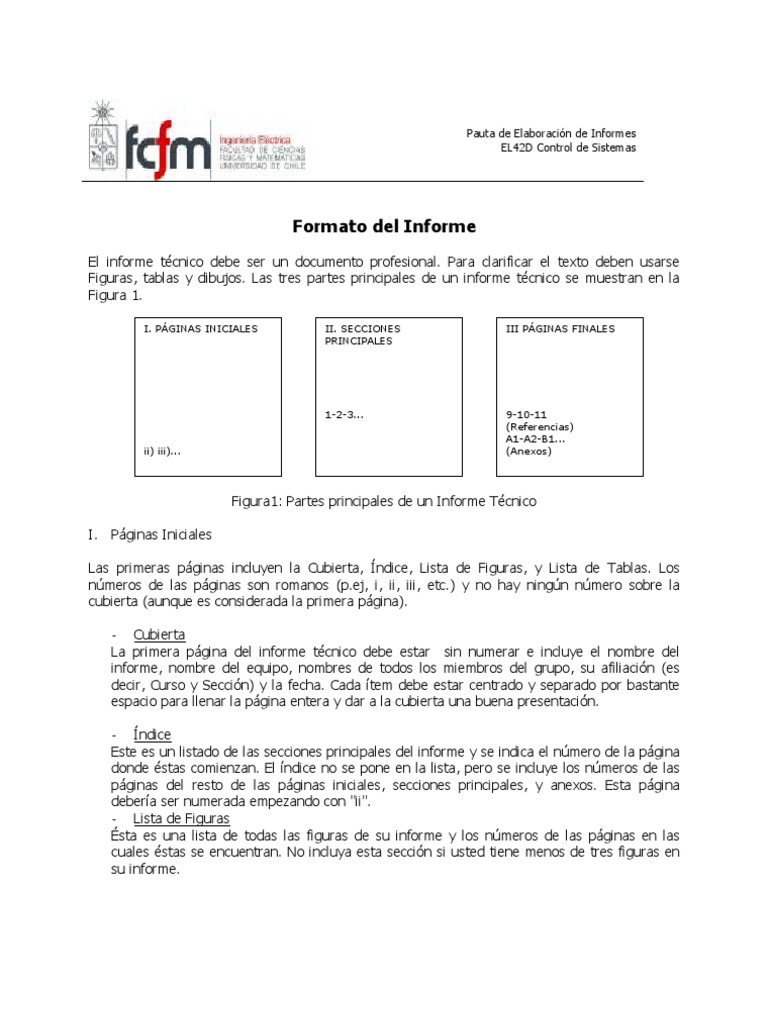 Formato de Informe Ejecutivo | PDF
