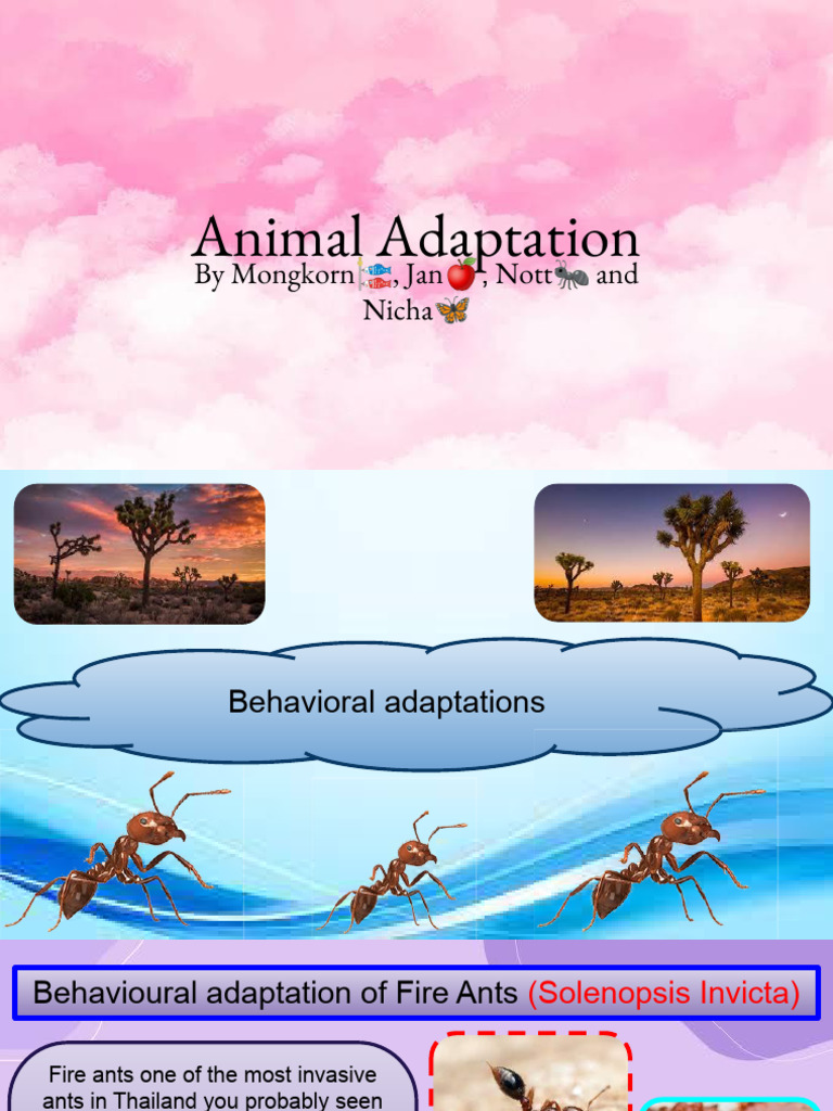 Animal and Plant Adaptation Work | PDF