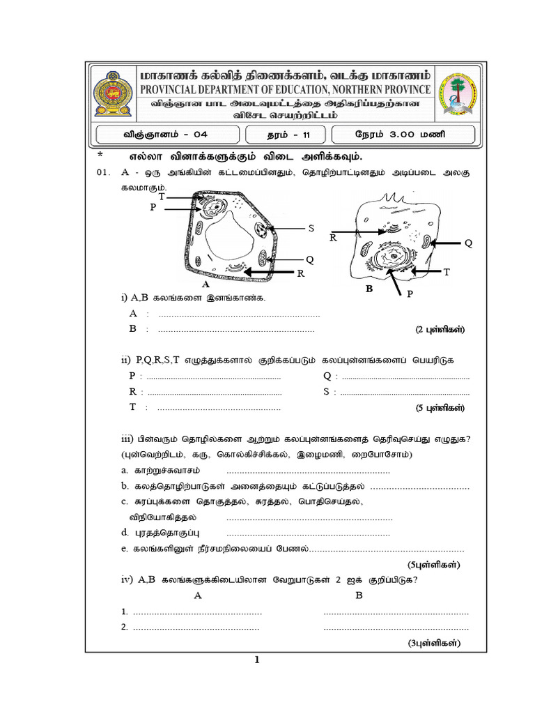 Grade 11 Science PDE- Eastern | PDF