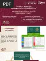 Guía de Aplicación del Logo IMSS-BIENESTAR | PDF | Modelo de color Rgb ...