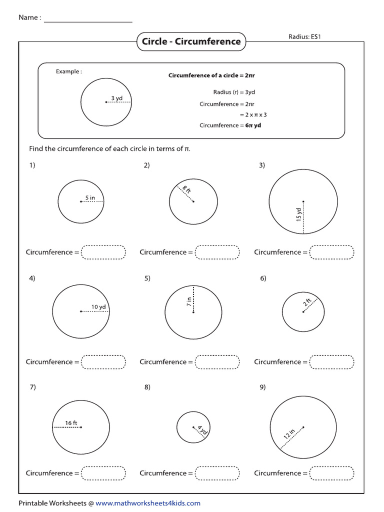 Circumference Worksheet | PDF
