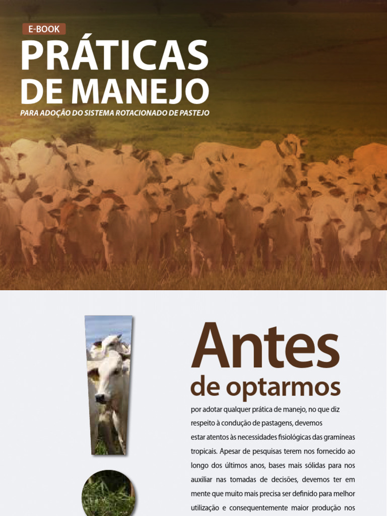 Práticas de Manejo para Adoção Do Sistema Rotacionado de Pastejo | PDF ...