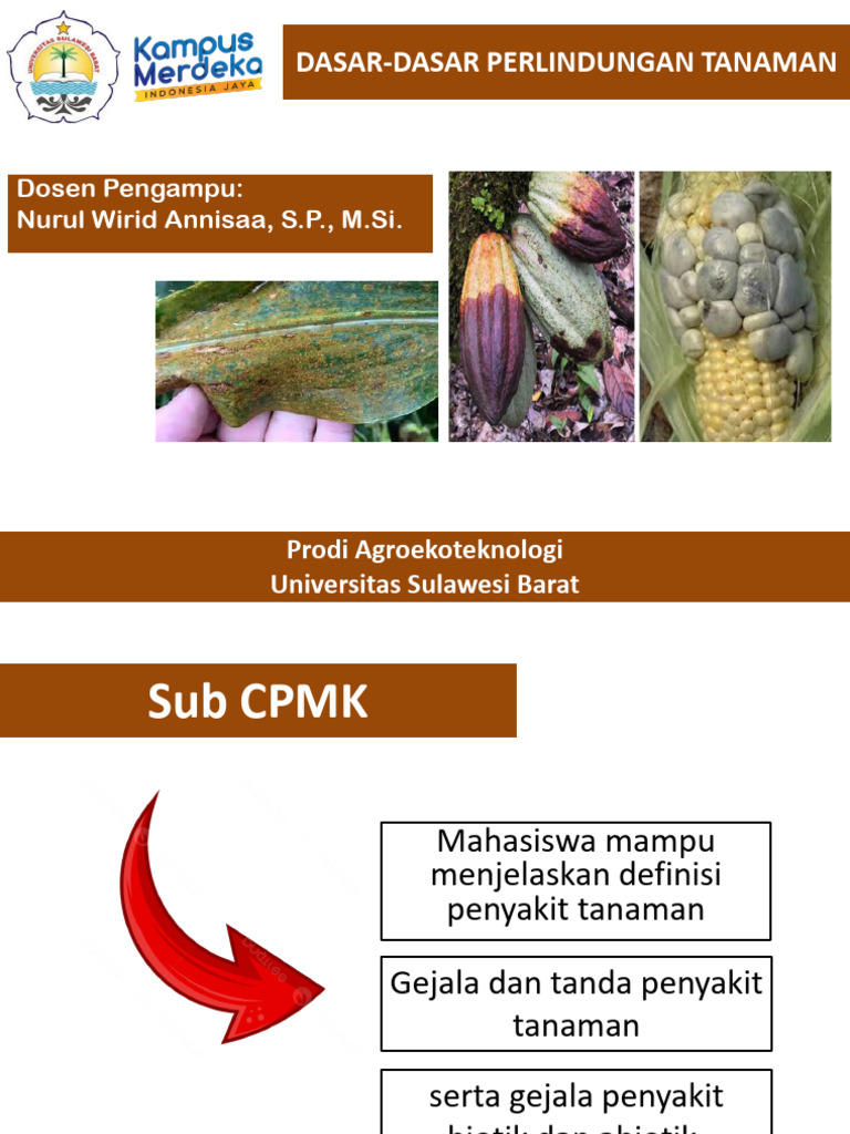 DDPT PT 2 Definis, Tanda Dan Gejala, Penyakit Abiotik Dan Biotik | PDF