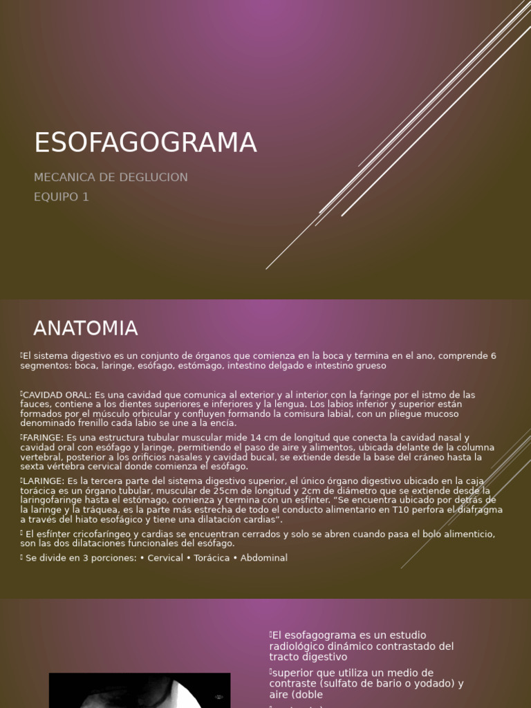 ESOFAGOGRAMA | PDF | Sistema digestivo humano | Ciencia y matemáticas
