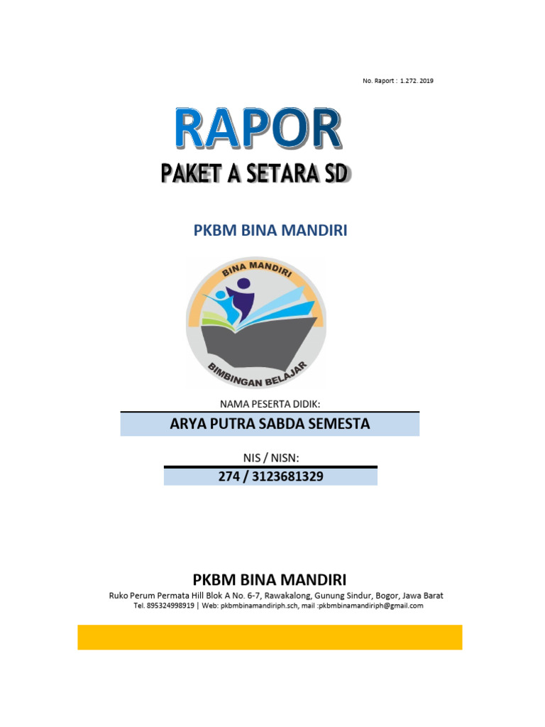 Raport Arya | PDF