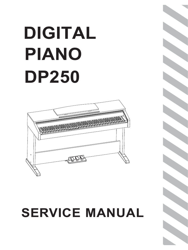 Dp250 Service Manual g01 140425 Compress Removed 1 | PDF