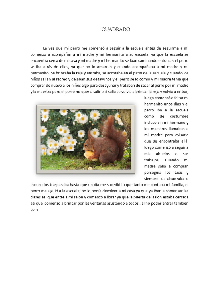 PRACTICA 2-IMAGEN TIC | PDF