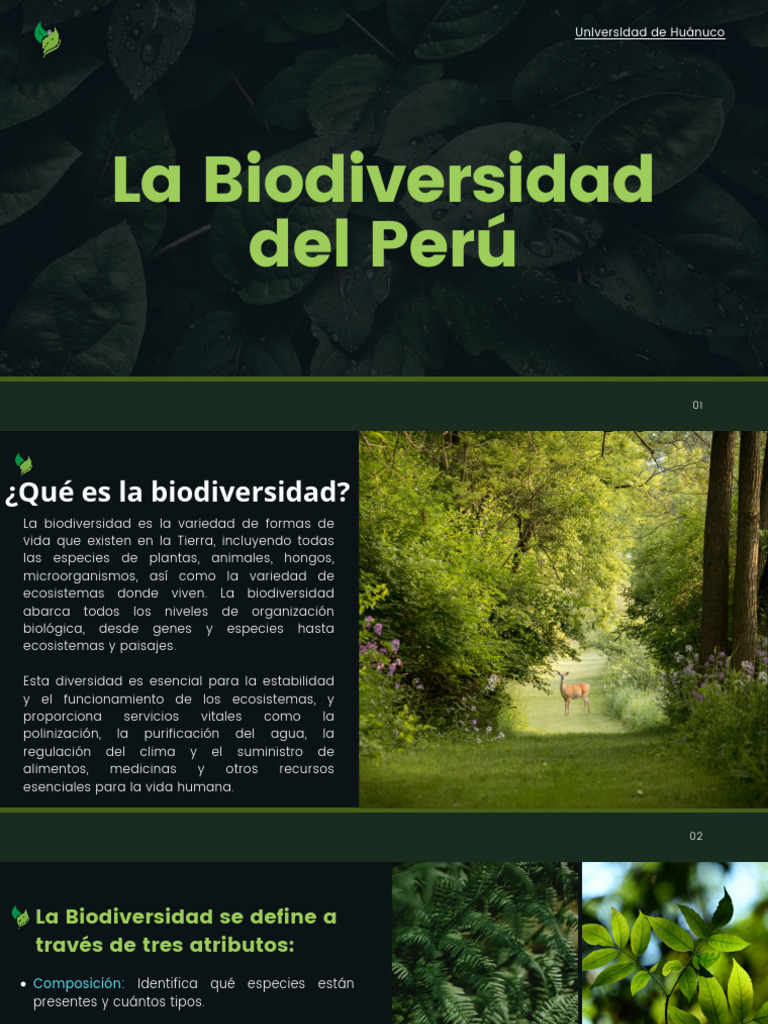 Biodiversity Pdf