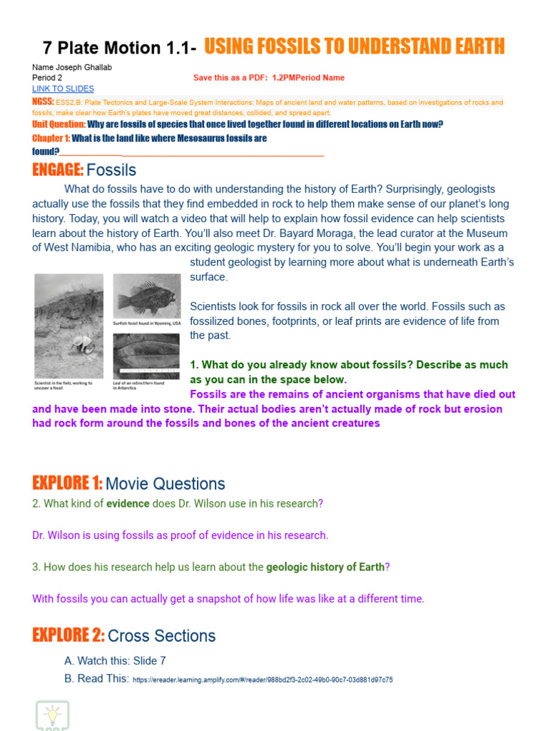 Joseph Ghallab - Amplify 7 PM 1.1 Lab Fossils & Earth | PDF
