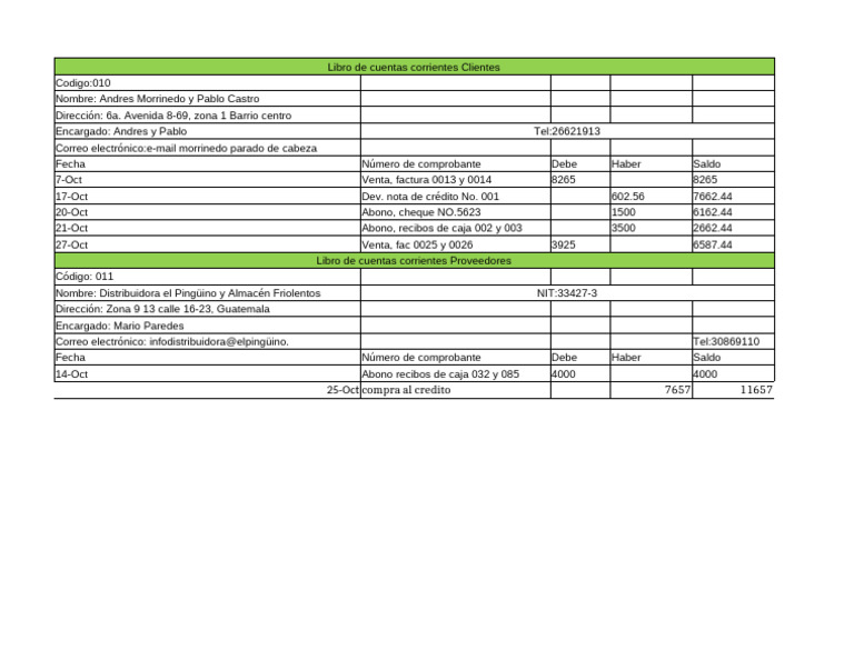Libro de Cuentas Corrientes Clientes y Proveedores - XLSX Siii | PDF