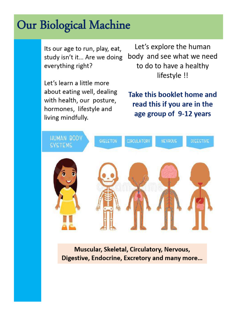 Booklet On Body Systems For Kids | PDF