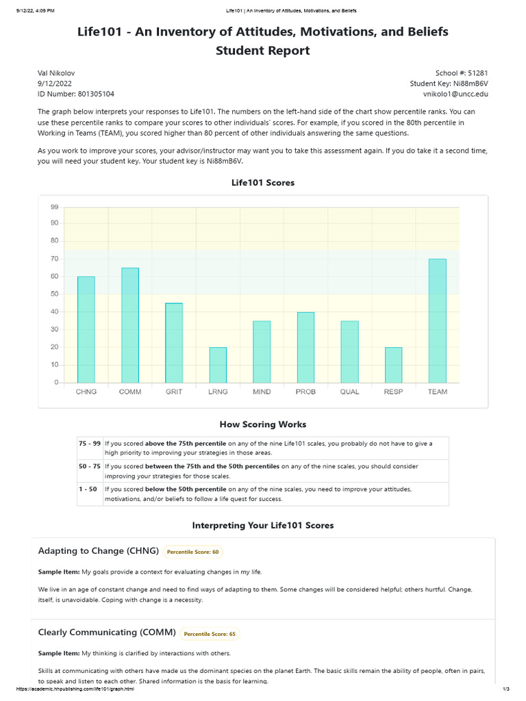 Life101 - An Inventory of Attitudes, Motivations, and Beliefs | PDF