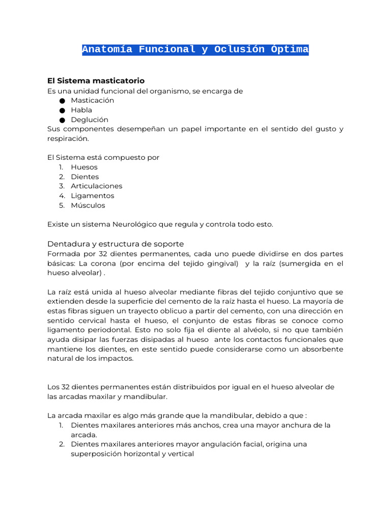 Anatomía Funcional y Oclusión Optima | PDF