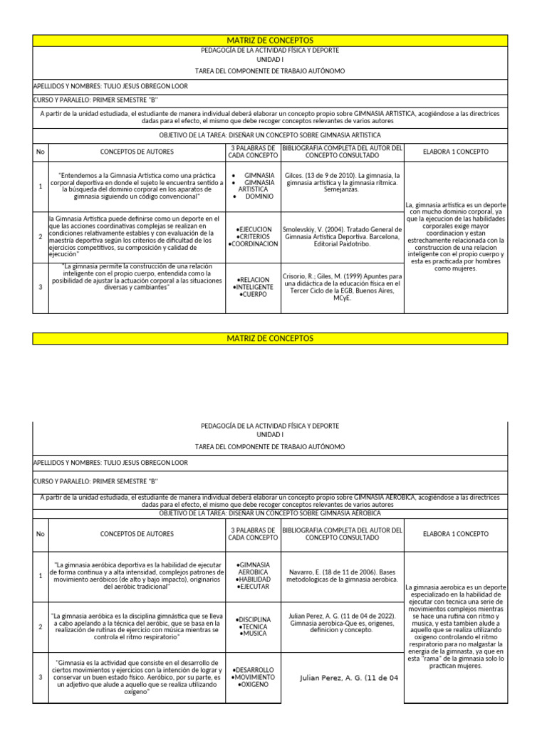 Matriz de Conceptos Ent - Dep 2024 | PDF