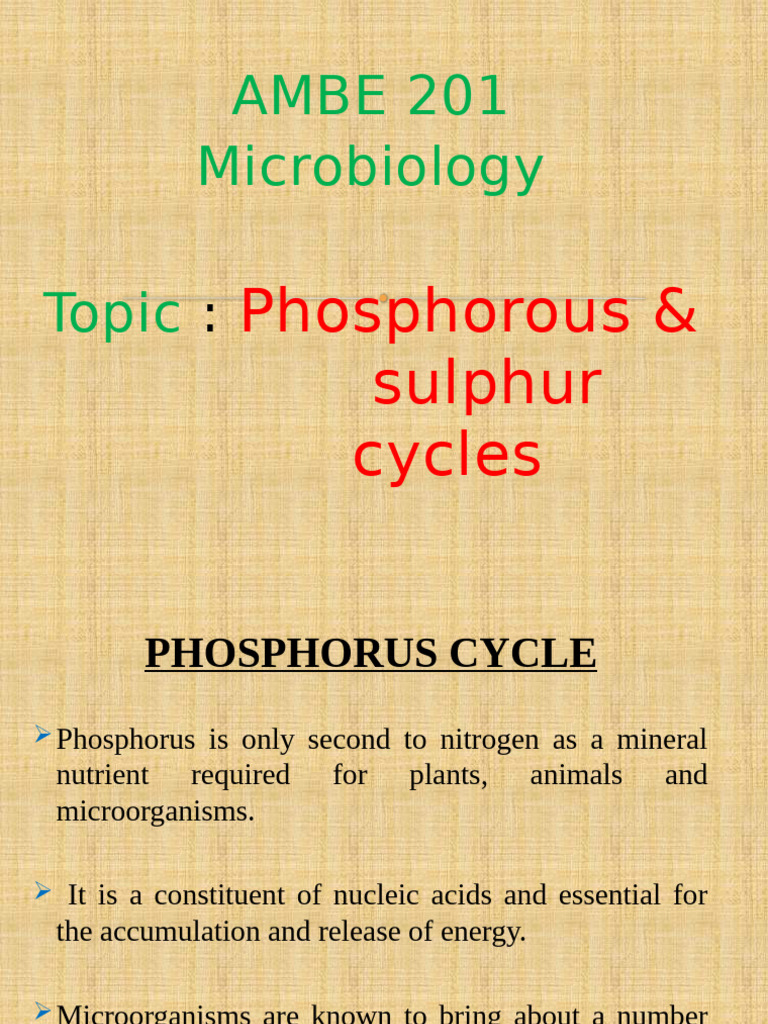 Lec - 23 Phosphorous & Sulphur Cycles | PDF