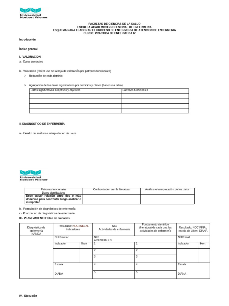 Esquema Del PAE | PDF