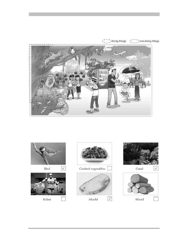 Scicent - Answers To Textbook - U3 - Final - R - e | PDF