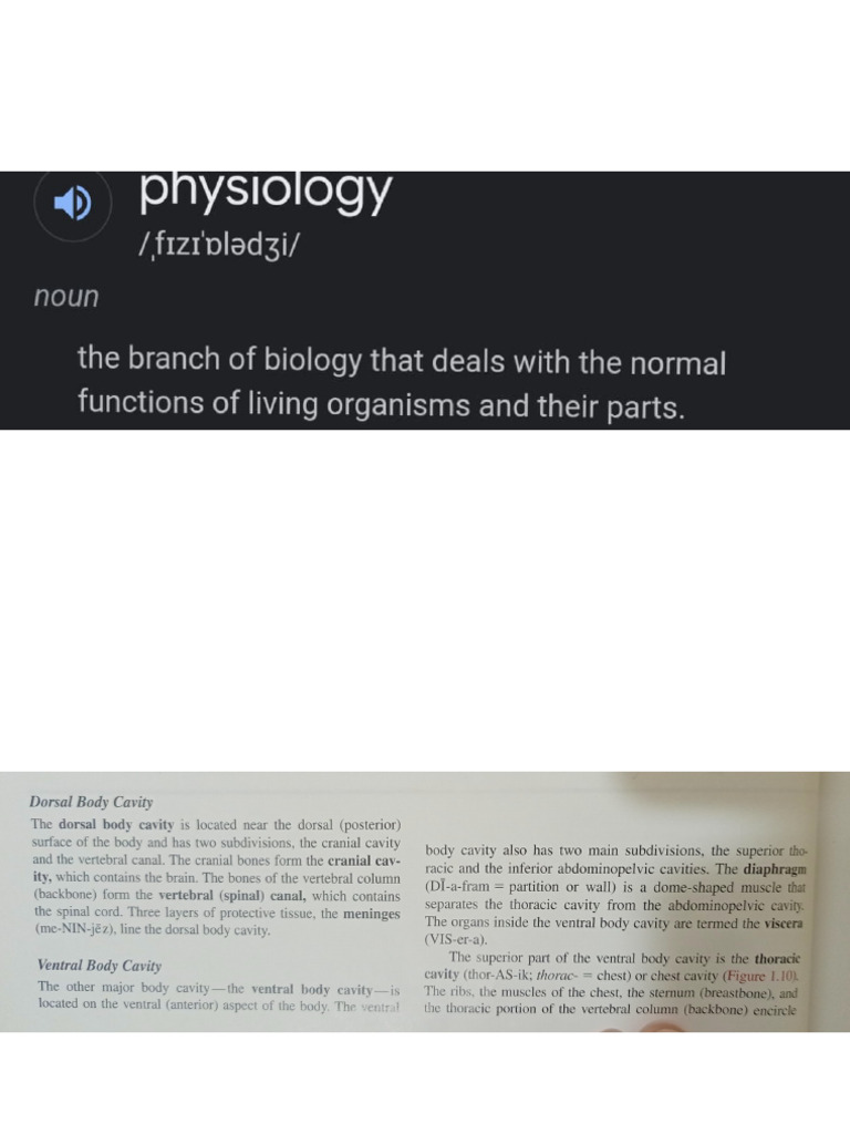 HAP Final Exam | PDF