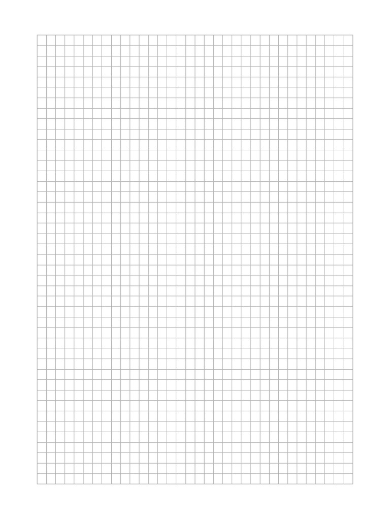 A 45 MM Graph Paper Portrait | PDF