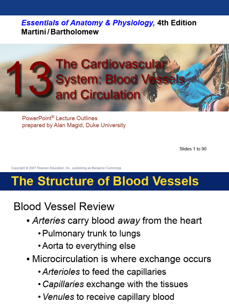 13 Lectureoutline Circulation Ppt Pdf