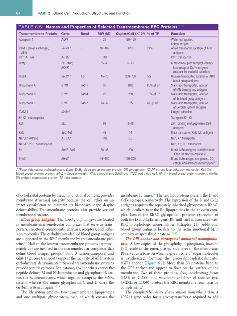 Rodaks Hematology Clinical Principles and Applications by Elaine M | PDF