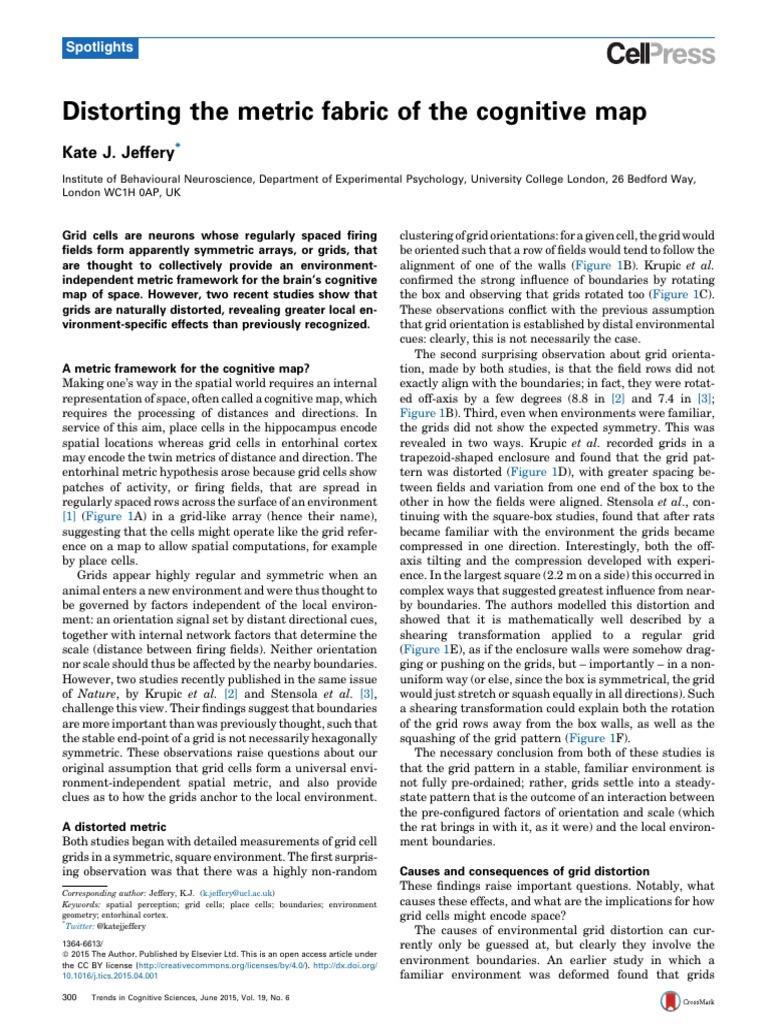 Distorting The Metric Fabric of The Cognitive Map | PDF