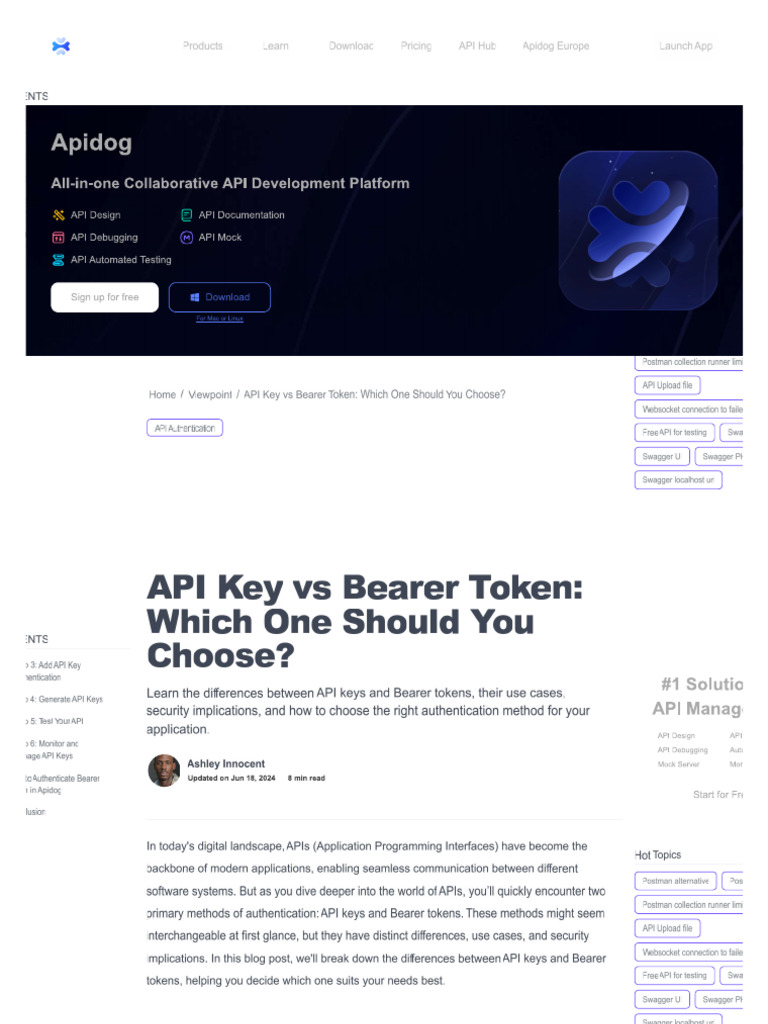 API Key Vs Bearer Token | PDF