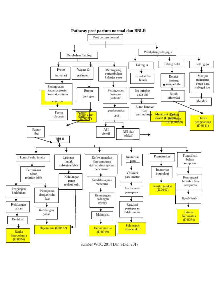 Pathway Post Partum Normal Dan BBLR | PDF