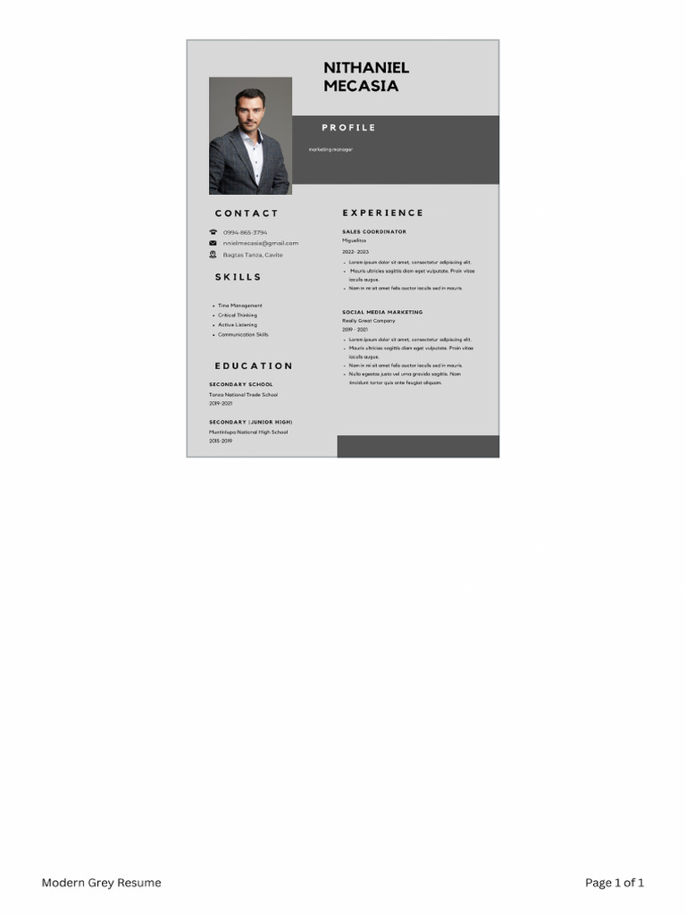 Modern Grey Resume | PDF