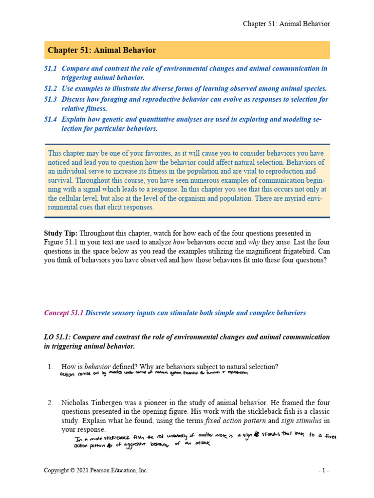 Chapter 51 Reading Guide | PDF