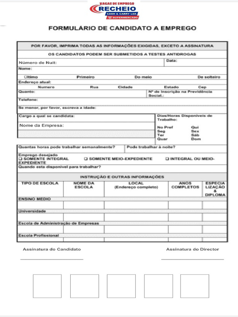 Formulário de Candidatura A Emprego-1 | PDF