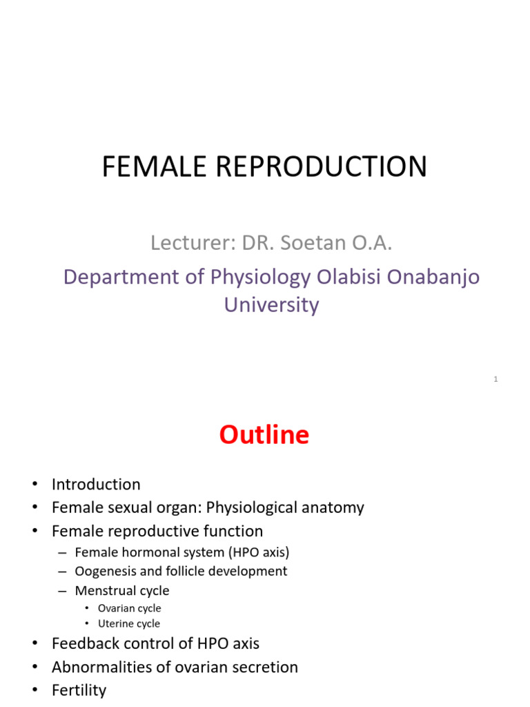 Female Reproduction | PDF