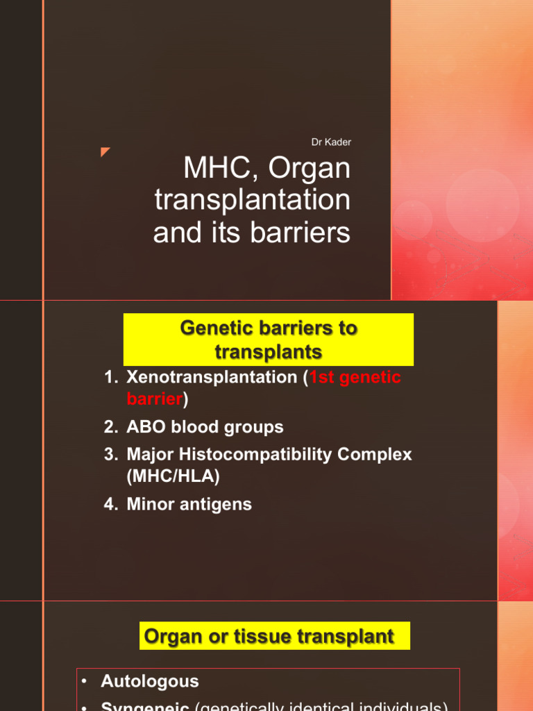 MHC and Organ Transplantation | PDF