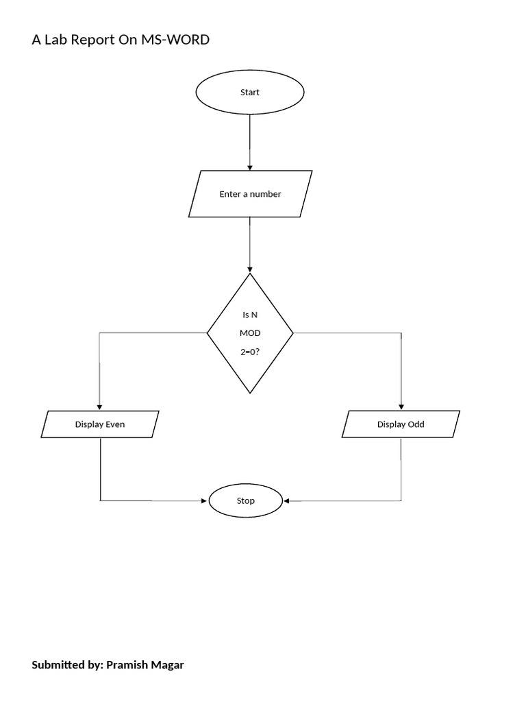 Computer Practical | PDF