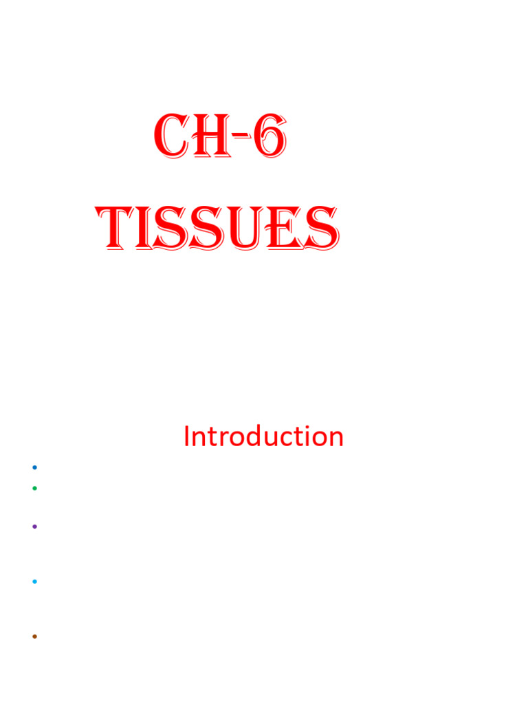 Tissues | PDF