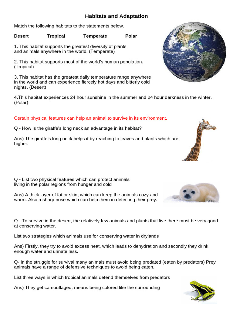 Habitat and Adaptation Worksheet | PDF