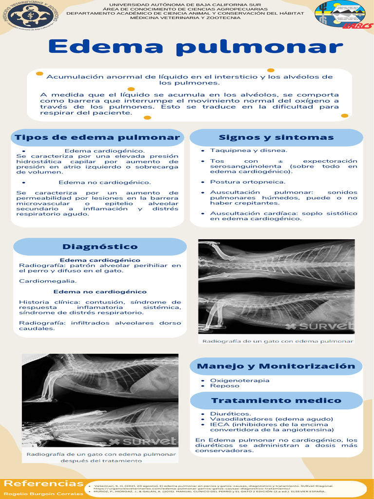 Edema Pulmonar | PDF | Edema | Enfermedades y trastornos