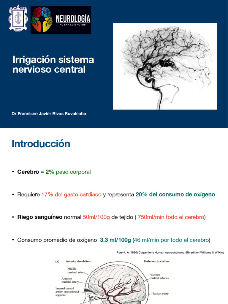 Irrigación SNC | PDF