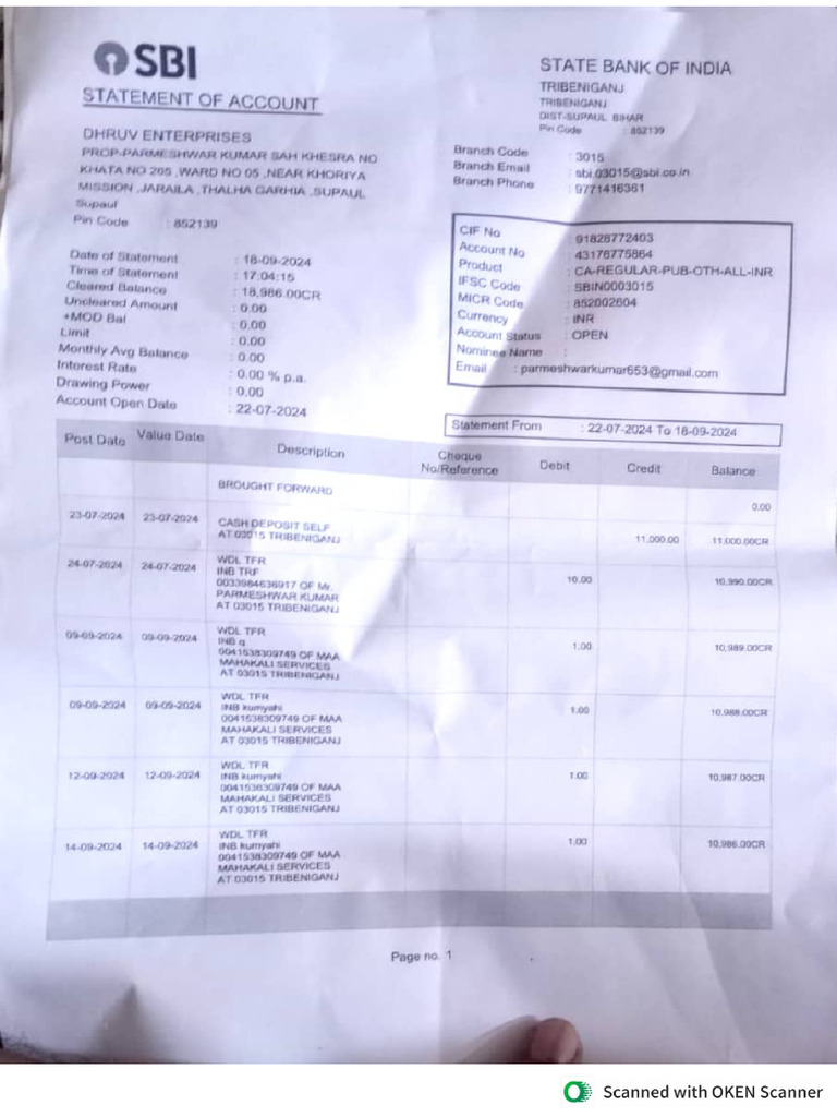 Bank Statement | PDF