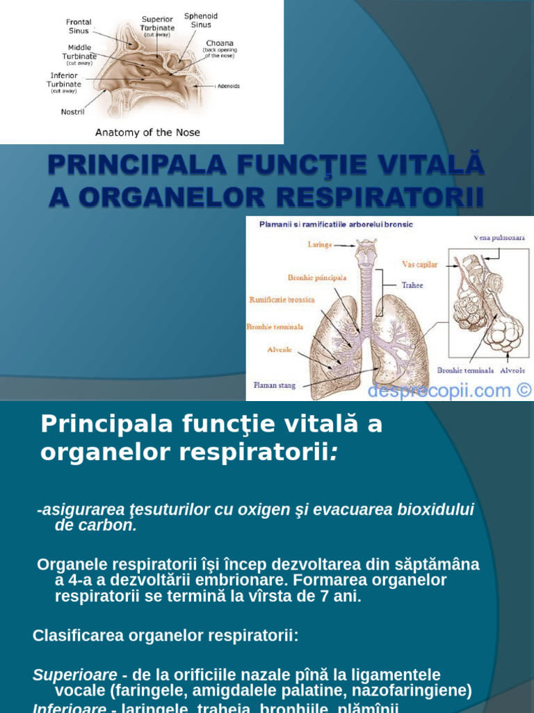 PAF Organelor Respiratorii | PDF