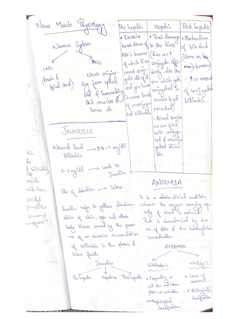 Open Scanned Document | PDF
