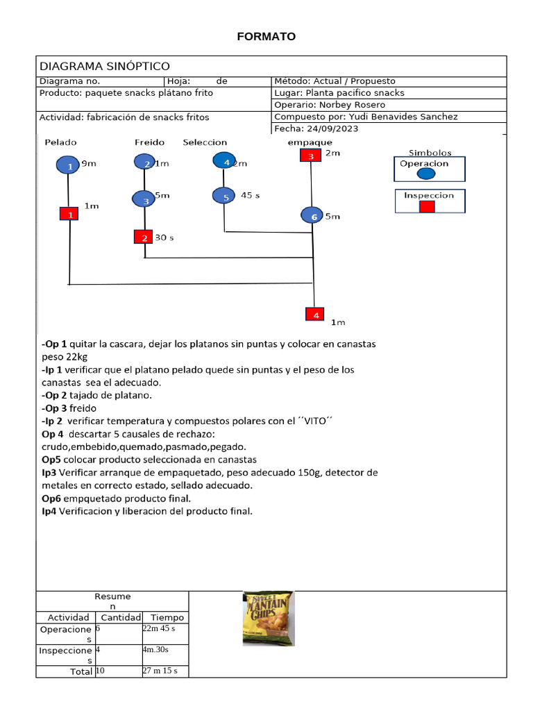 Formato Diagrama Sinóptico | PDF