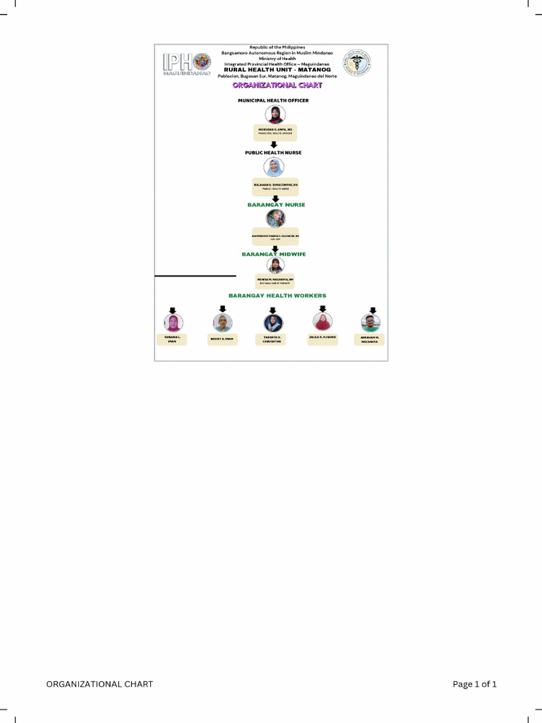 Organizational Chart (1) | PDF