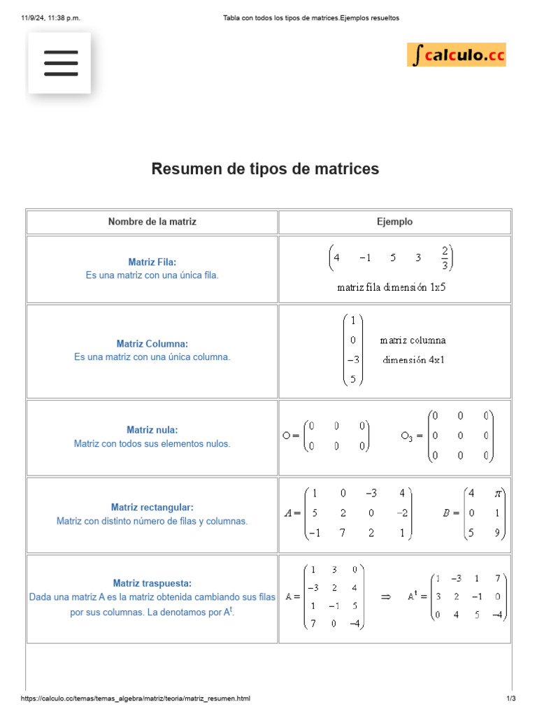 Tabla Con Todos Los Tipos de Matrices - Ejemplos Resueltos | PDF