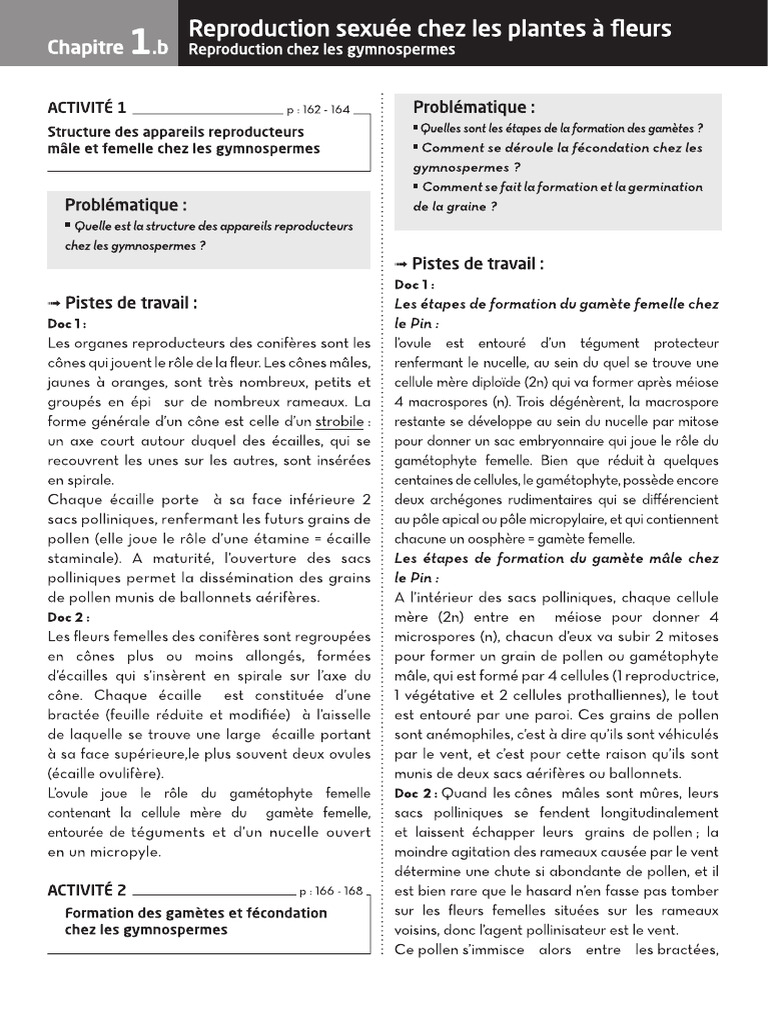 La Reproduction Sexuee Chez Les Gymnospermes Cours 1 | PDF