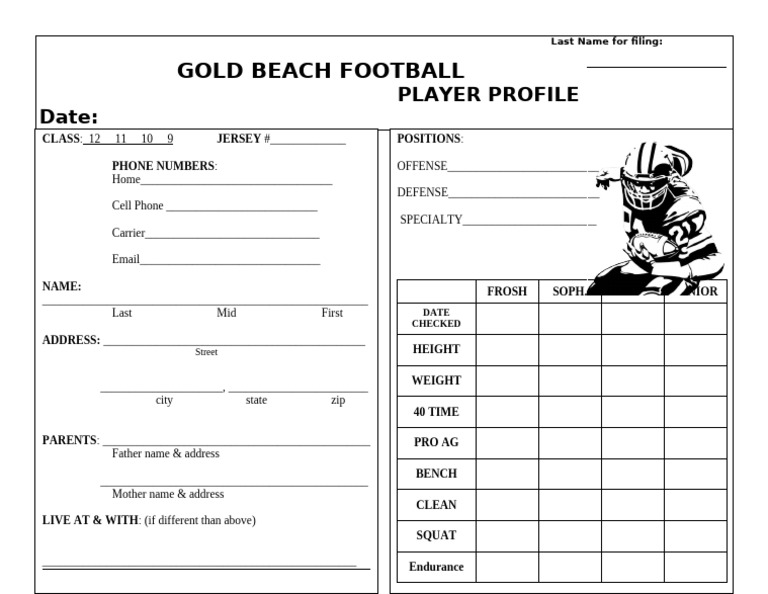 Player Profile Sheet | PDF