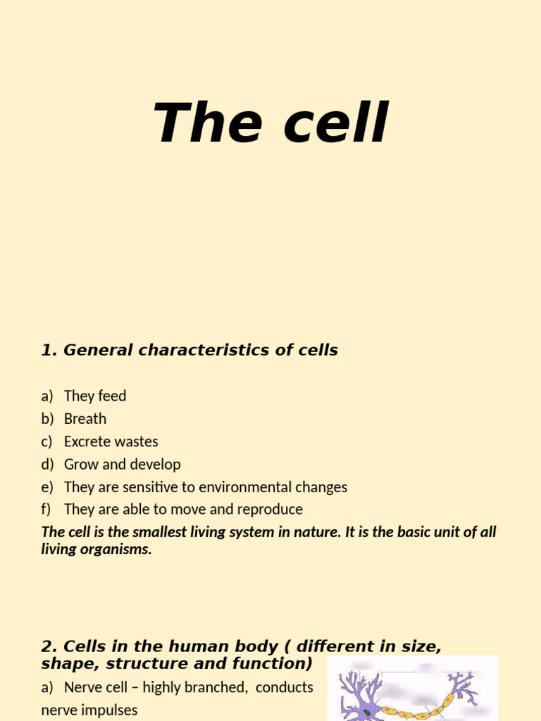The Cell | PDF